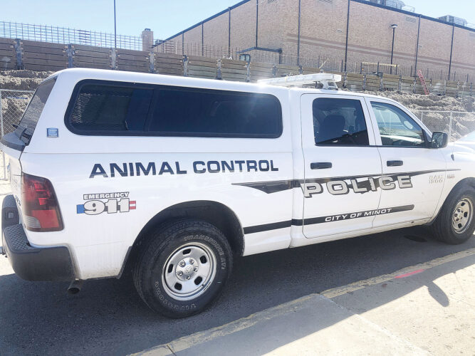 Minot’s Animal Control has its hands full | News, Sports, Jobs - Minot ...